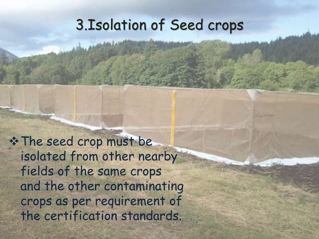 Principles of vegetable seed production | PPTX | Agriculture | Industries
