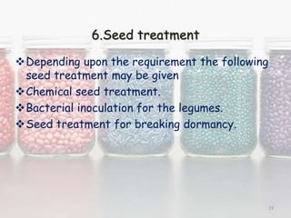 Principles of vegetable seed production | PPTX