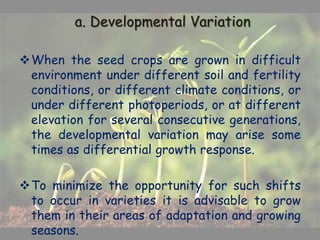 Principles of vegetable seed production | PPTX