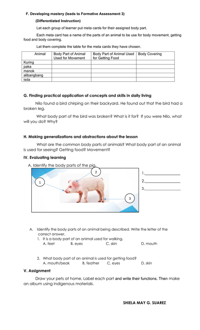 GRADE 3 DETAILED LESSON PLAN SCIENCE 3.docx