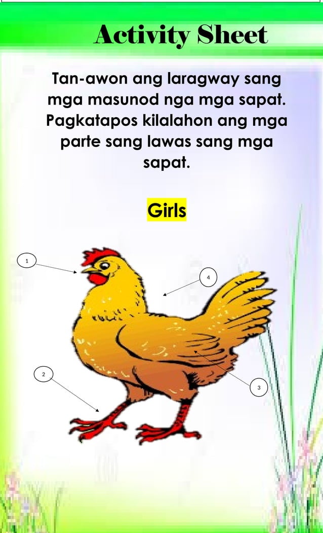 GRADE 3 DETAILED LESSON PLAN SCIENCE 3.docx