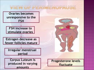 Menopause | PPT