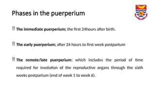 Edited Physical and Physiological Changes in Puerperium 22032023.tdaB.pptx