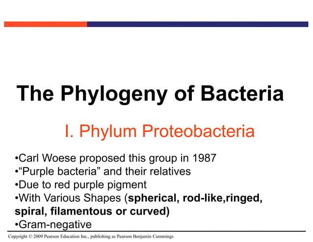 Edited_Proteobacteria_powerpoint - Copy.ppt