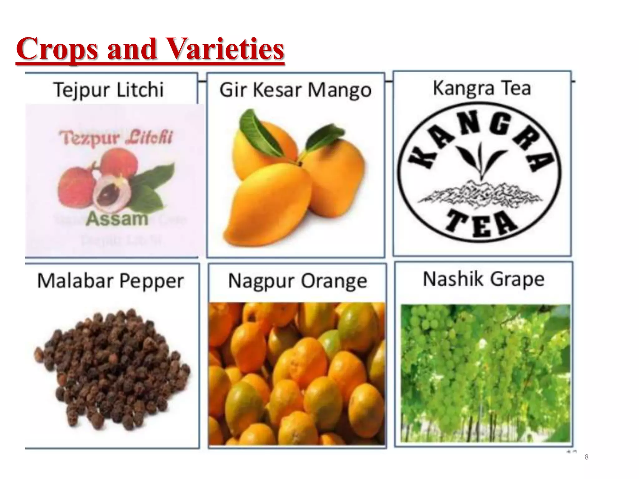 STATUS AND ISSUES ASSOCIATED WITH GEOGRAPHICALLY INDICATION TAGGED HORTICULTURAL CROPS/VARIETIES ...