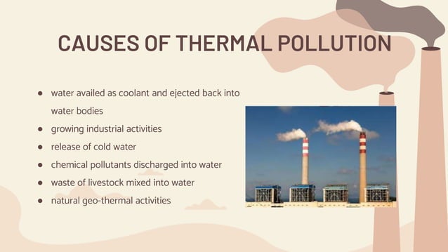 edited thermal pollution.pptx