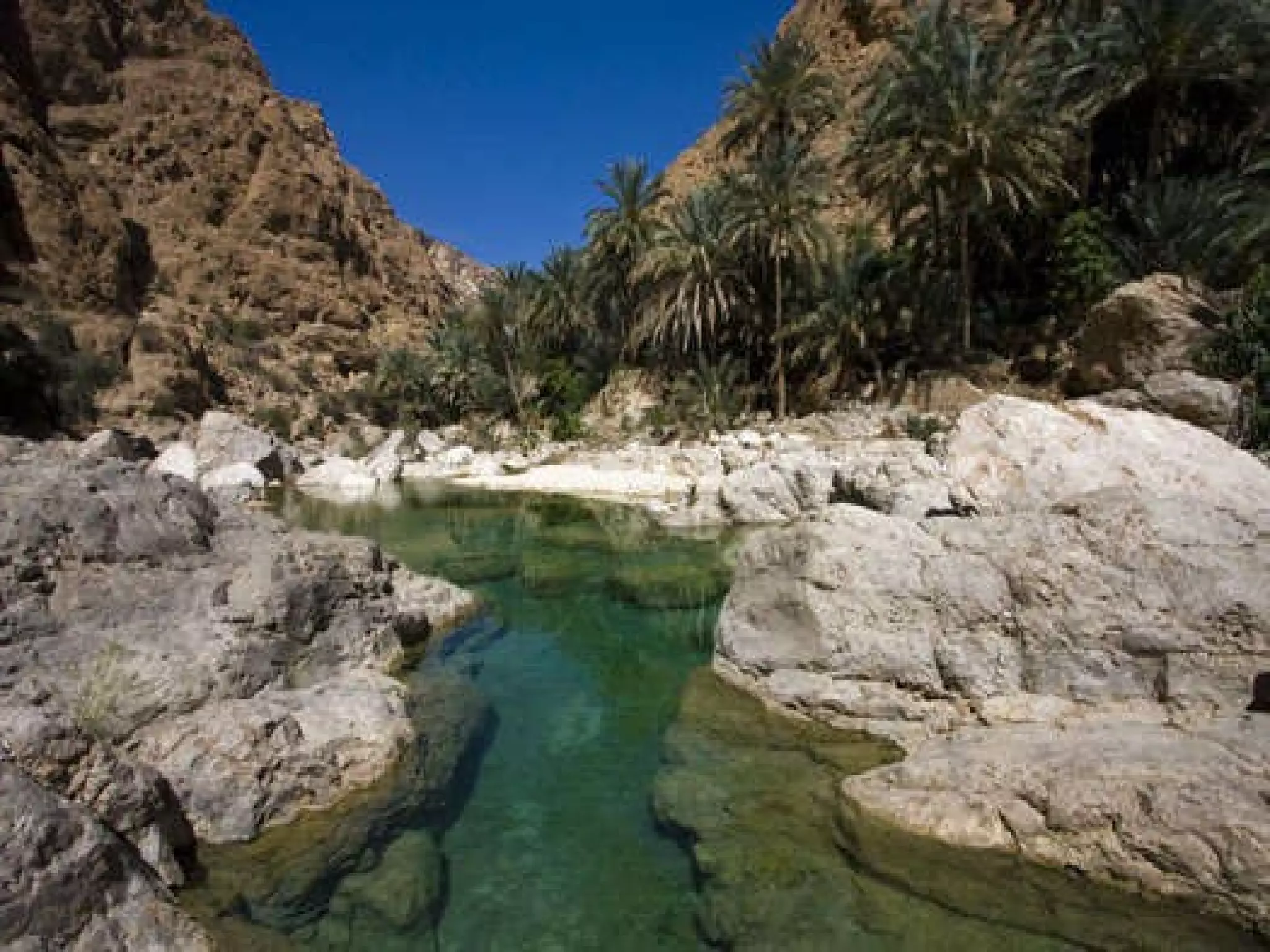 Wadi Shaab | PPT