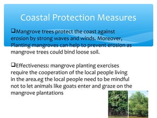 geog presentation | PPT