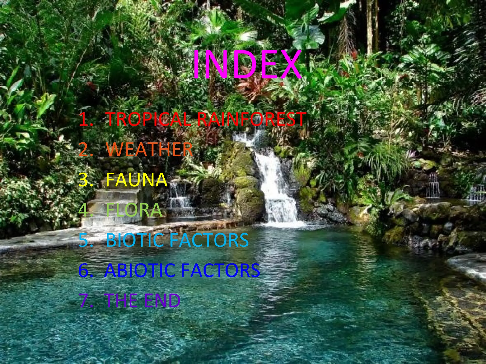 TROPICAL RAINFOREST | PPT