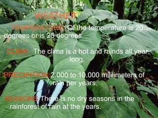 TROPICAL RAINFOREST | PPT