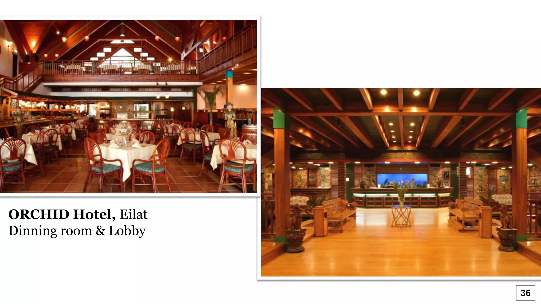 Edith NEW presentation | PDF