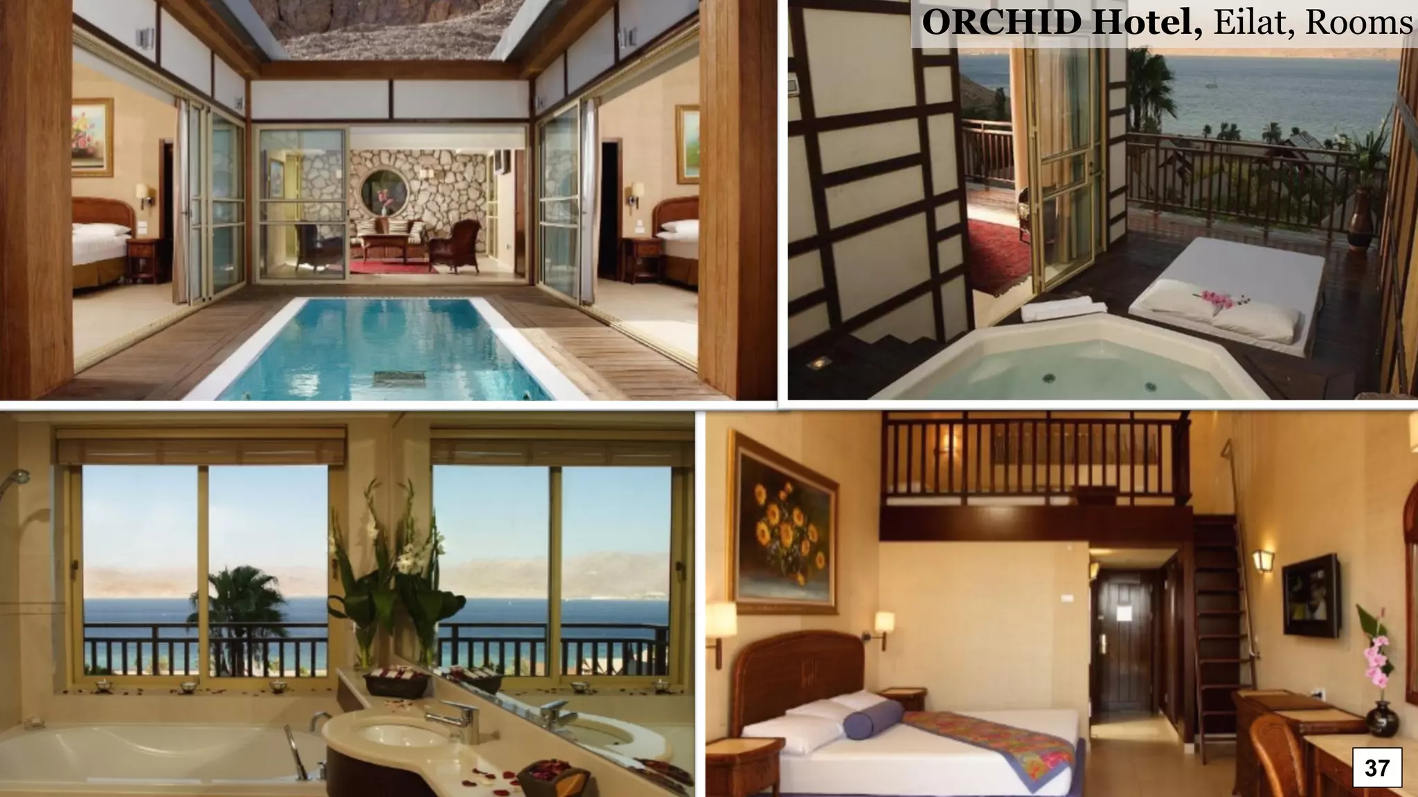 Edith NEW presentation | PDF