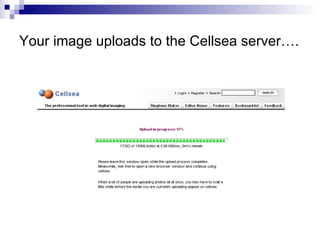 Editing Images Using CellSea | PPT