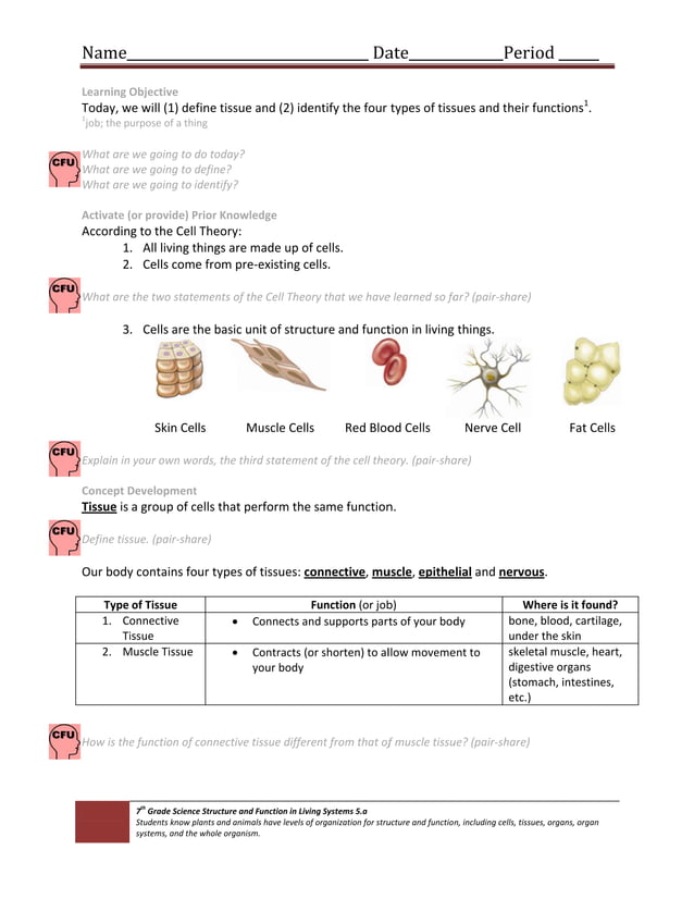 Cell & Tissue Handout | PDF