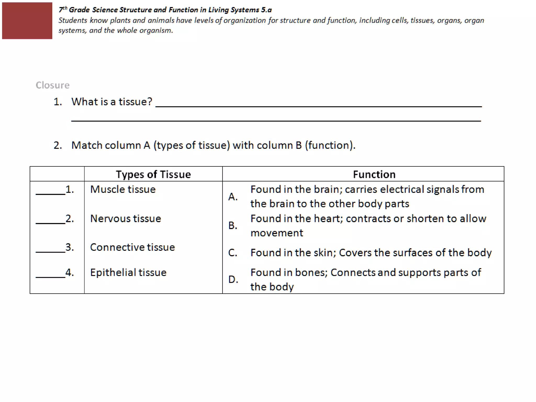 Cell & Tissue PowerPoint | PPT