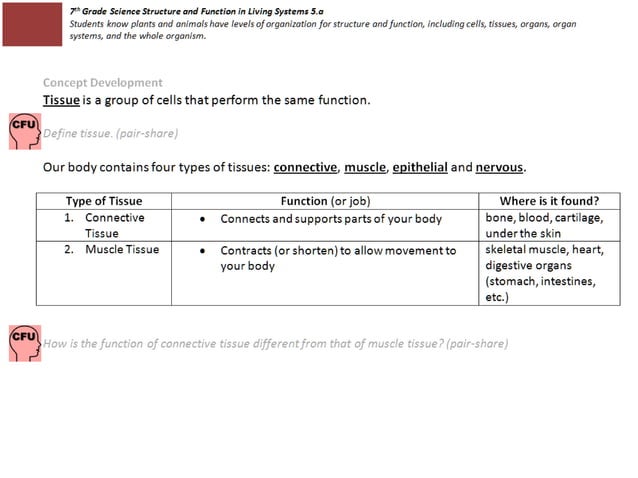 Cell & Tissue PowerPoint | PPT