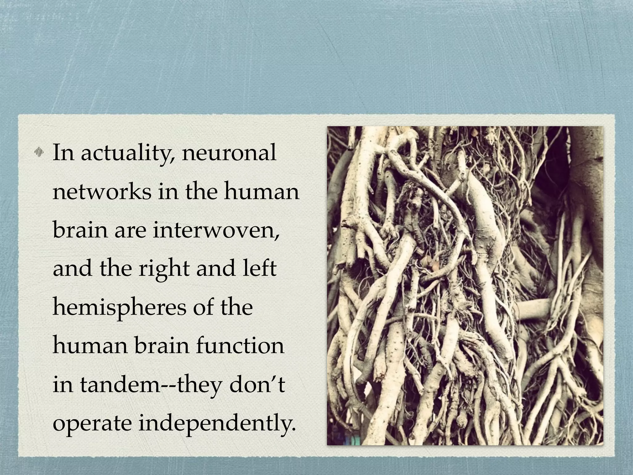 Dave Rocker: Neuromyths: Misunderstandings About The Brain | PDF