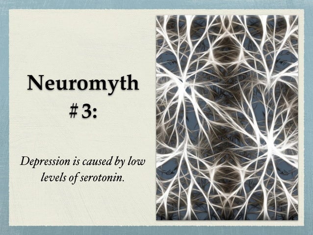 Dave Rocker: Neuromyths: Misunderstandings About The Brain | PDF