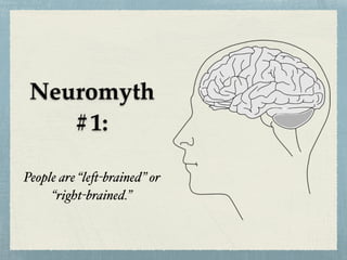 Dave Rocker: Neuromyths: Misunderstandings About The Brain | PDF