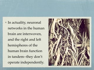 Dave Rocker: Neuromyths: Misunderstandings About The Brain | PDF
