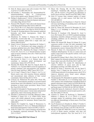 A Leading Role of Stem Cells in Breast Malignant Cells | PDF