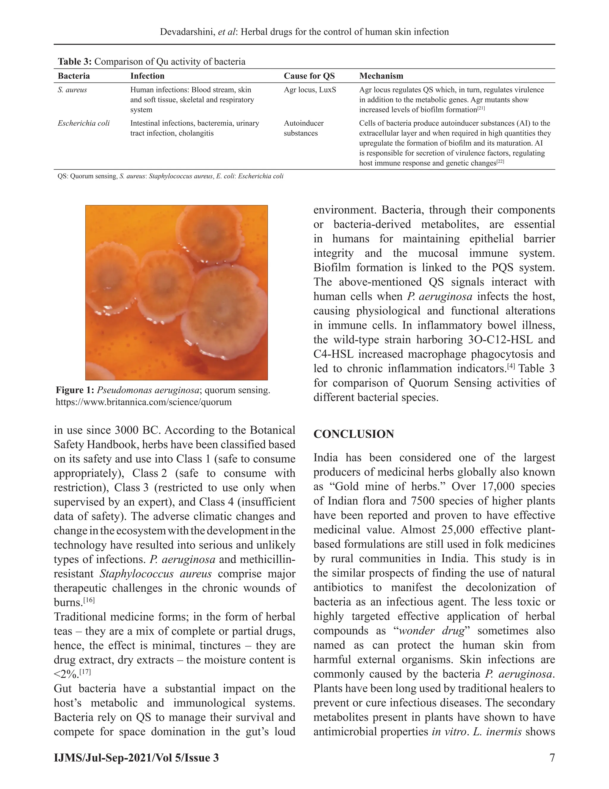 Herbal drugs – an alternative to antibiotics in controlling human skin infection | PDF | Herbs ...