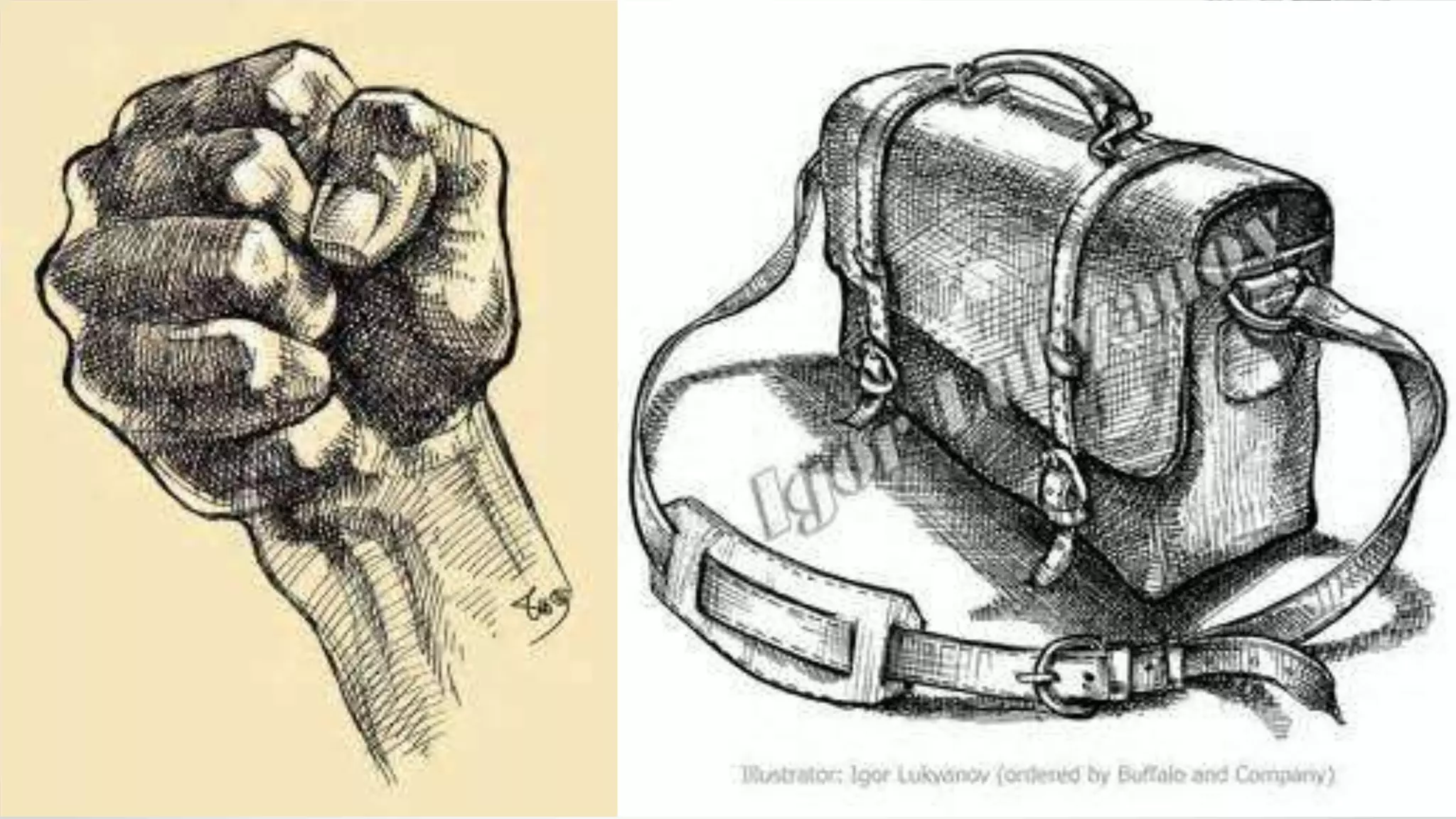 Editorial-Cartooning-PPT.pptx