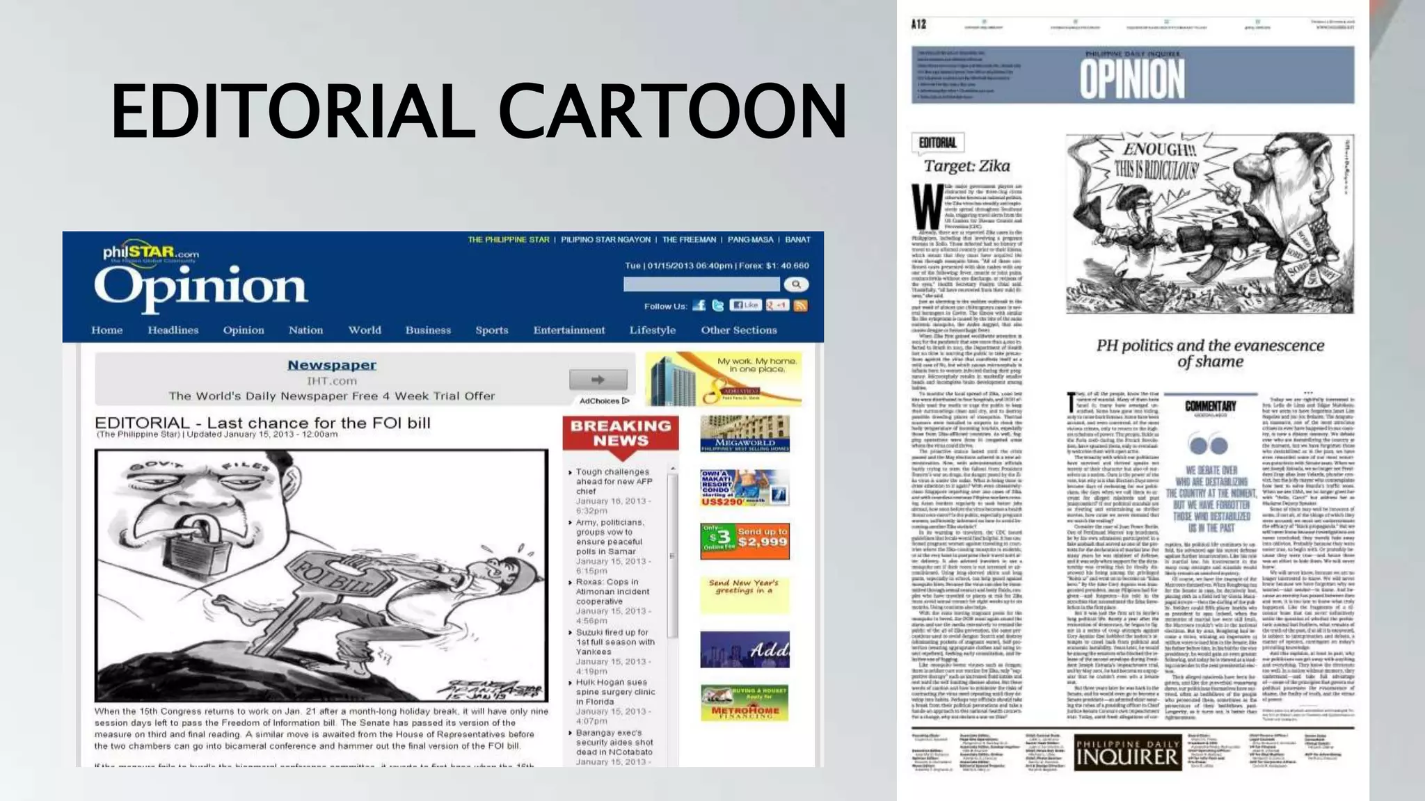 Editorial cartooning - Grade 8 | PPTX
