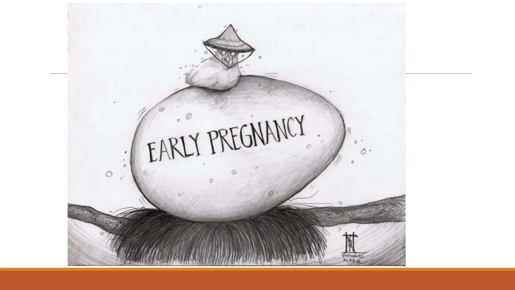 EDITORIAL CARTOONING POWER POINT.pptx