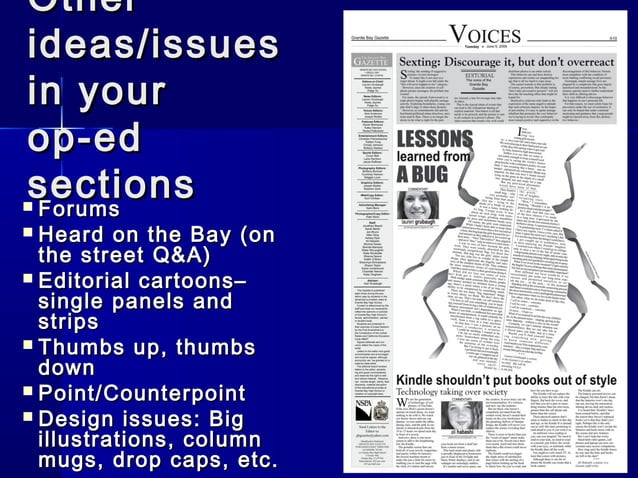 Editorials columns and letters | PPT | Law