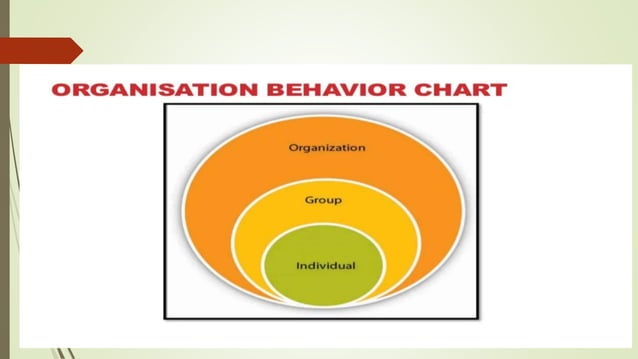 EDM-214-Organizational-behavior-models.pptx