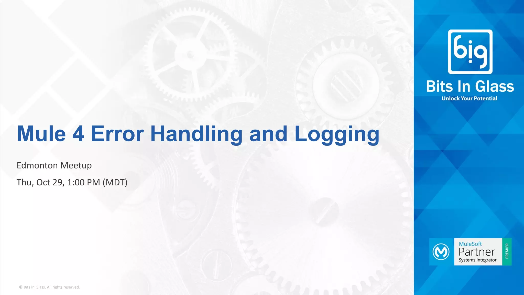 Virtual Meetup: Mule 4 Error Handling and Logging | PDF
