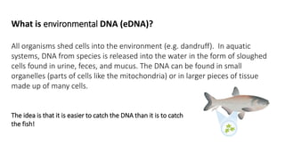 eDNA general figures-FINAL_14Oct2019.pptx