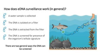 eDNA general figures-FINAL_14Oct2019.pptx