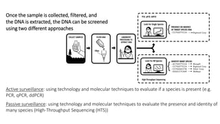 eDNA general figures-FINAL_14Oct2019.pptx