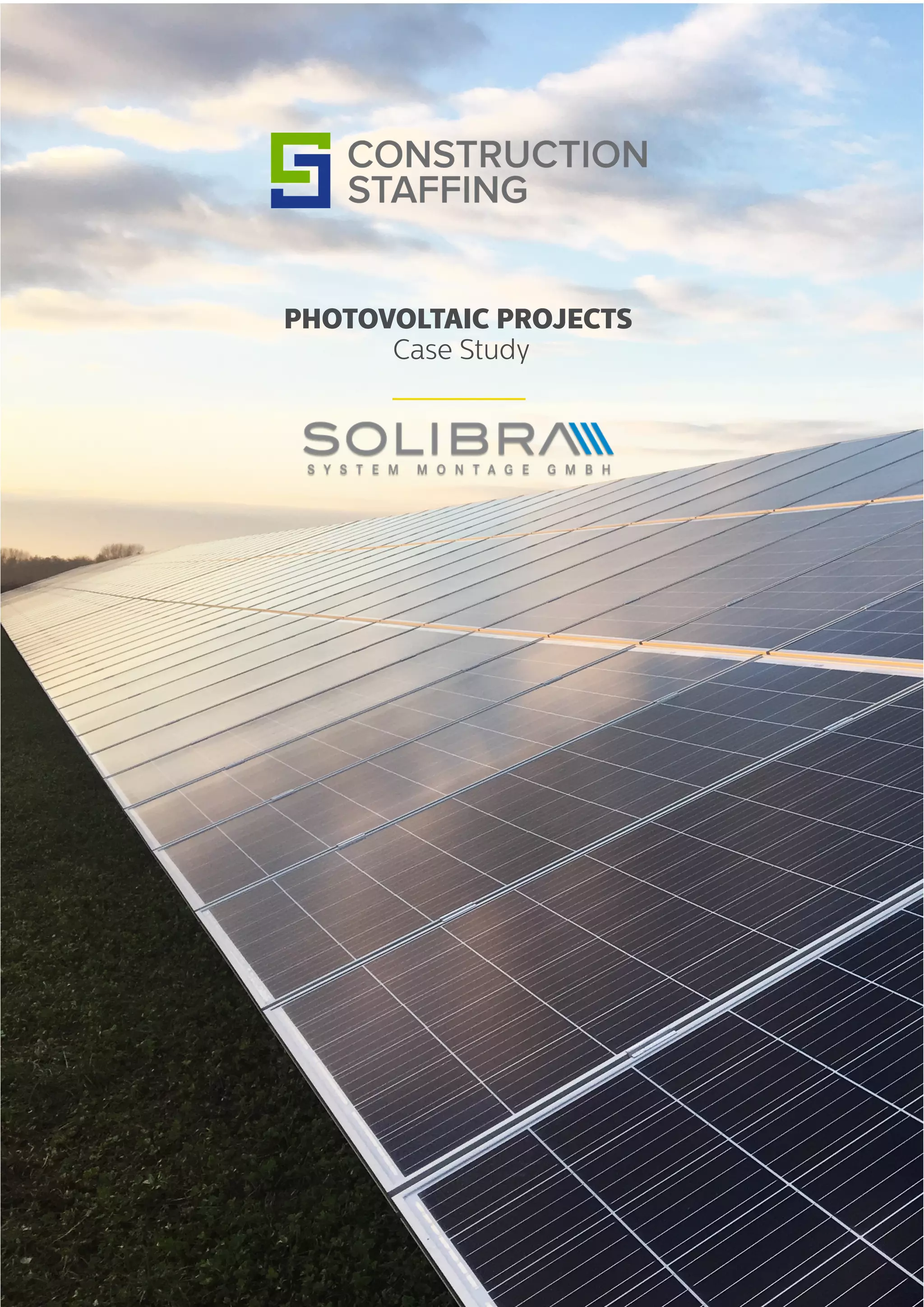 Case Study Solibra | PDF