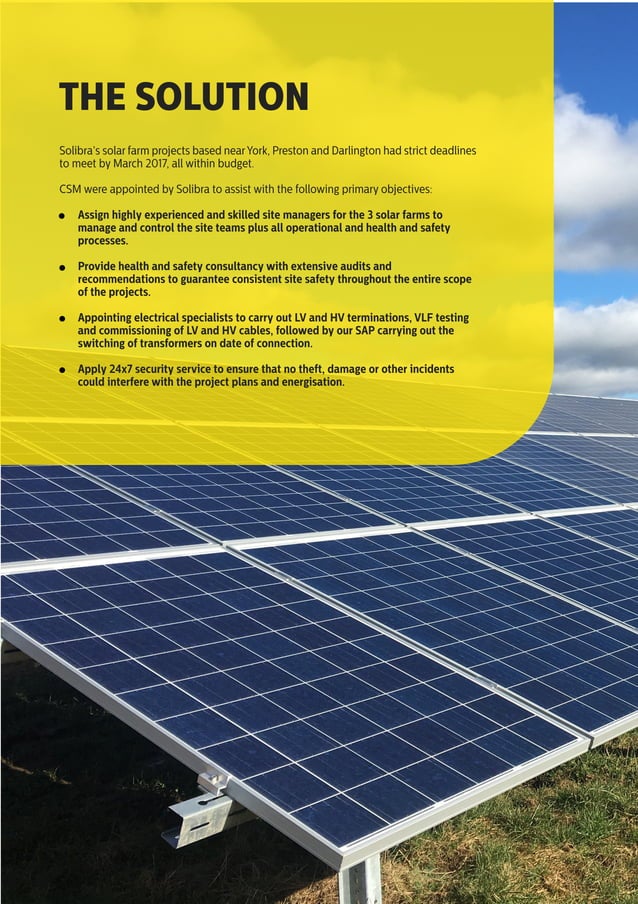 Case Study Solibra | PDF