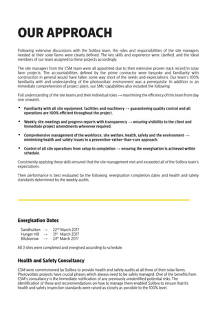 Case Study Solibra | PDF