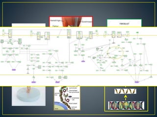 Fibromyalgia research: Overcoming challenges through patient-research ...