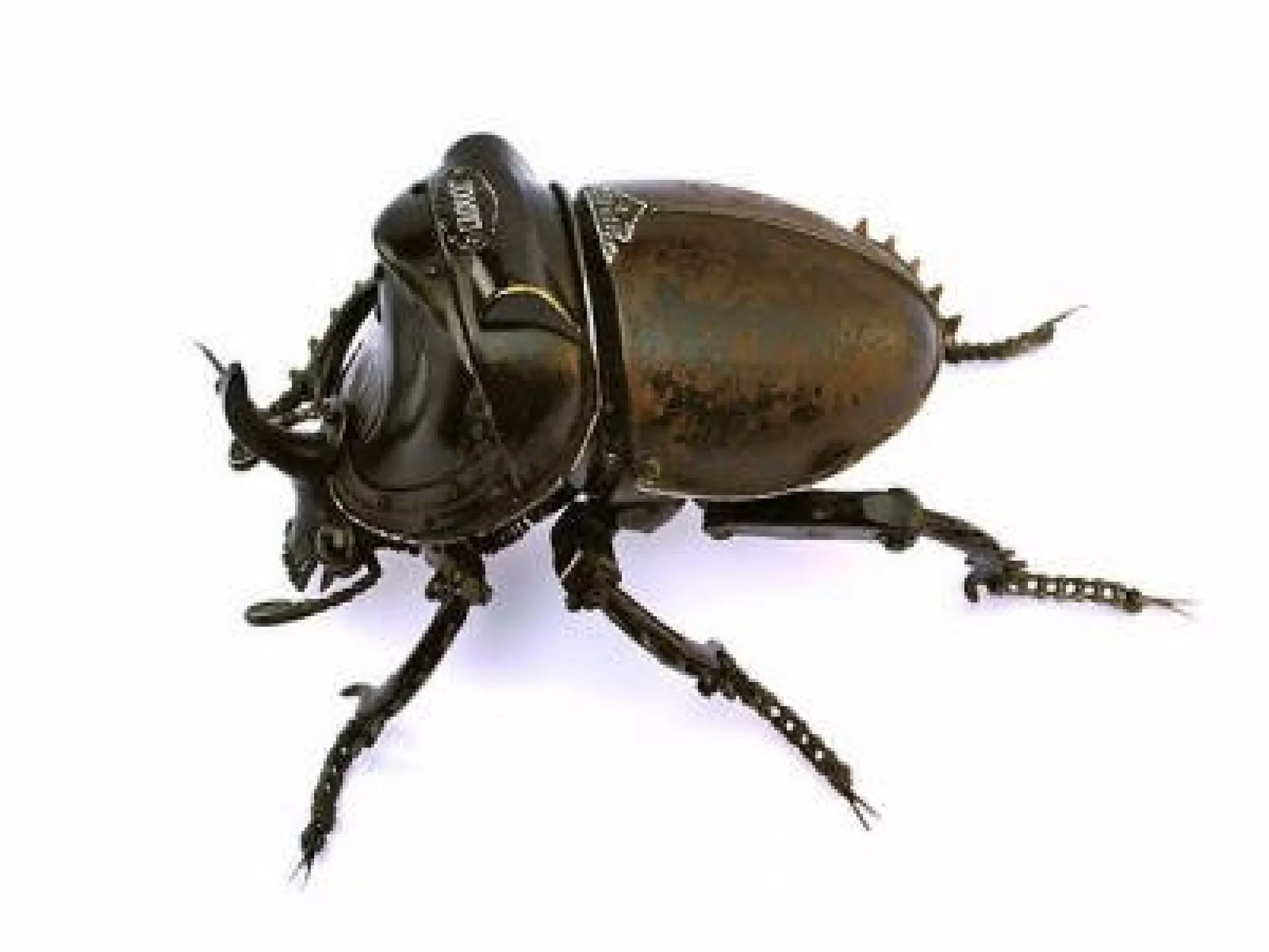 Edouard martinet | PPT