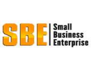 Small Business Enterprise | PPTX