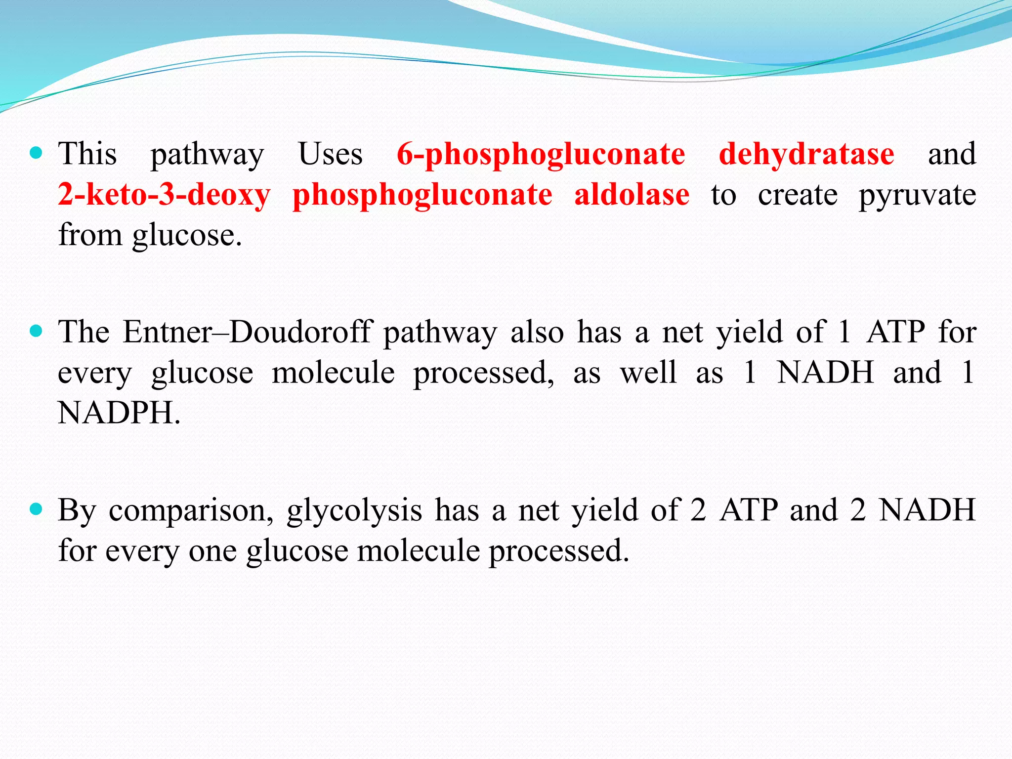 Entner Doudoroff pathway | PPTX