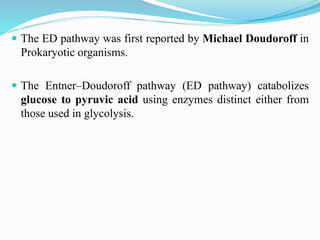 Entner Doudoroff pathway | PPTX