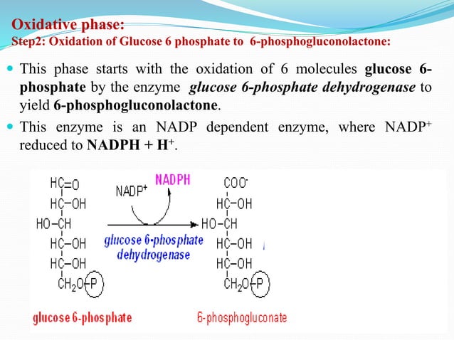 Entner Doudoroff pathway | PPTX | Chemistry | Science