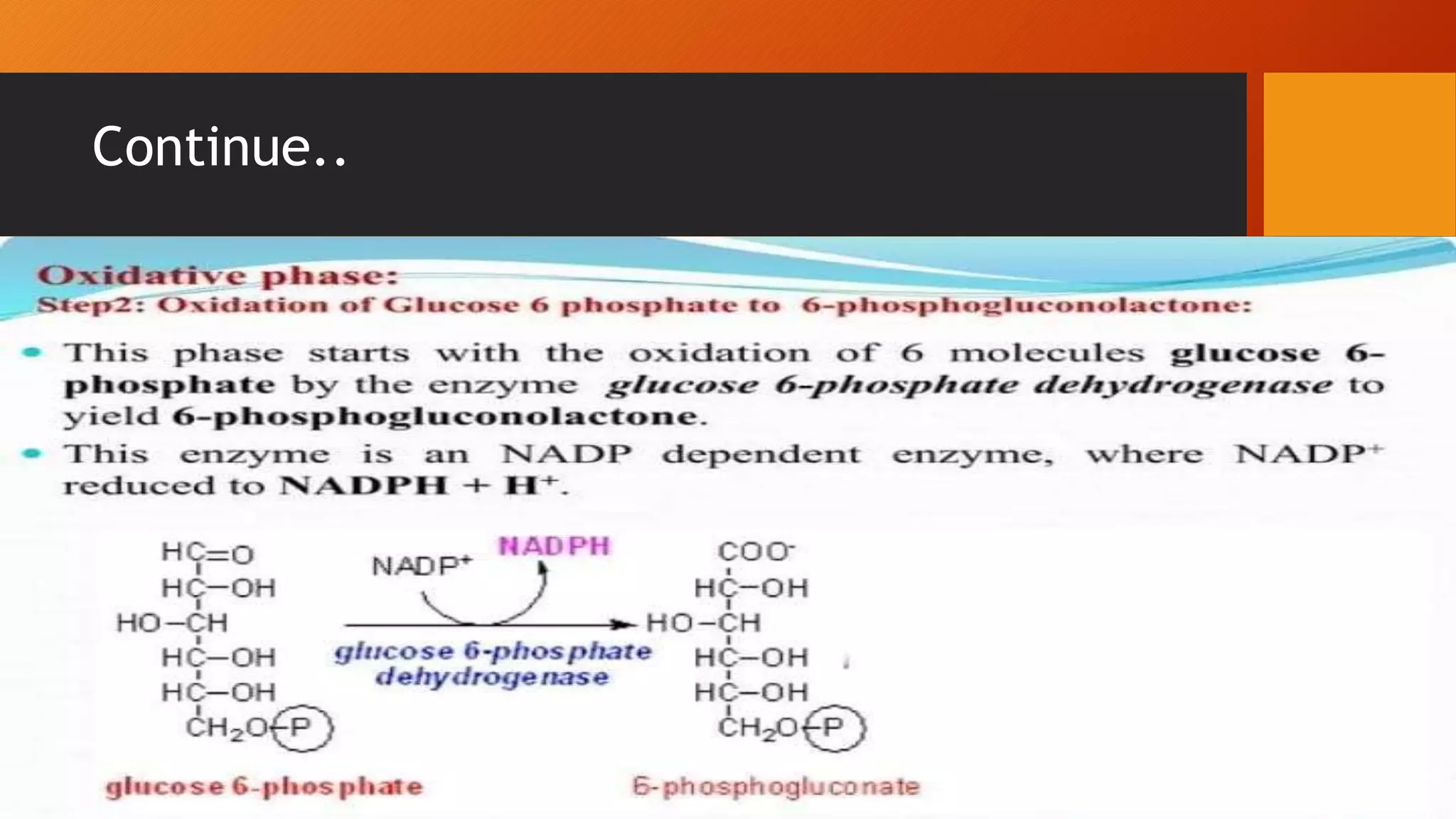 Entener dudorooff pathway.pptx