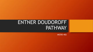 Entener dudorooff pathway.pptx | Chemistry | Science