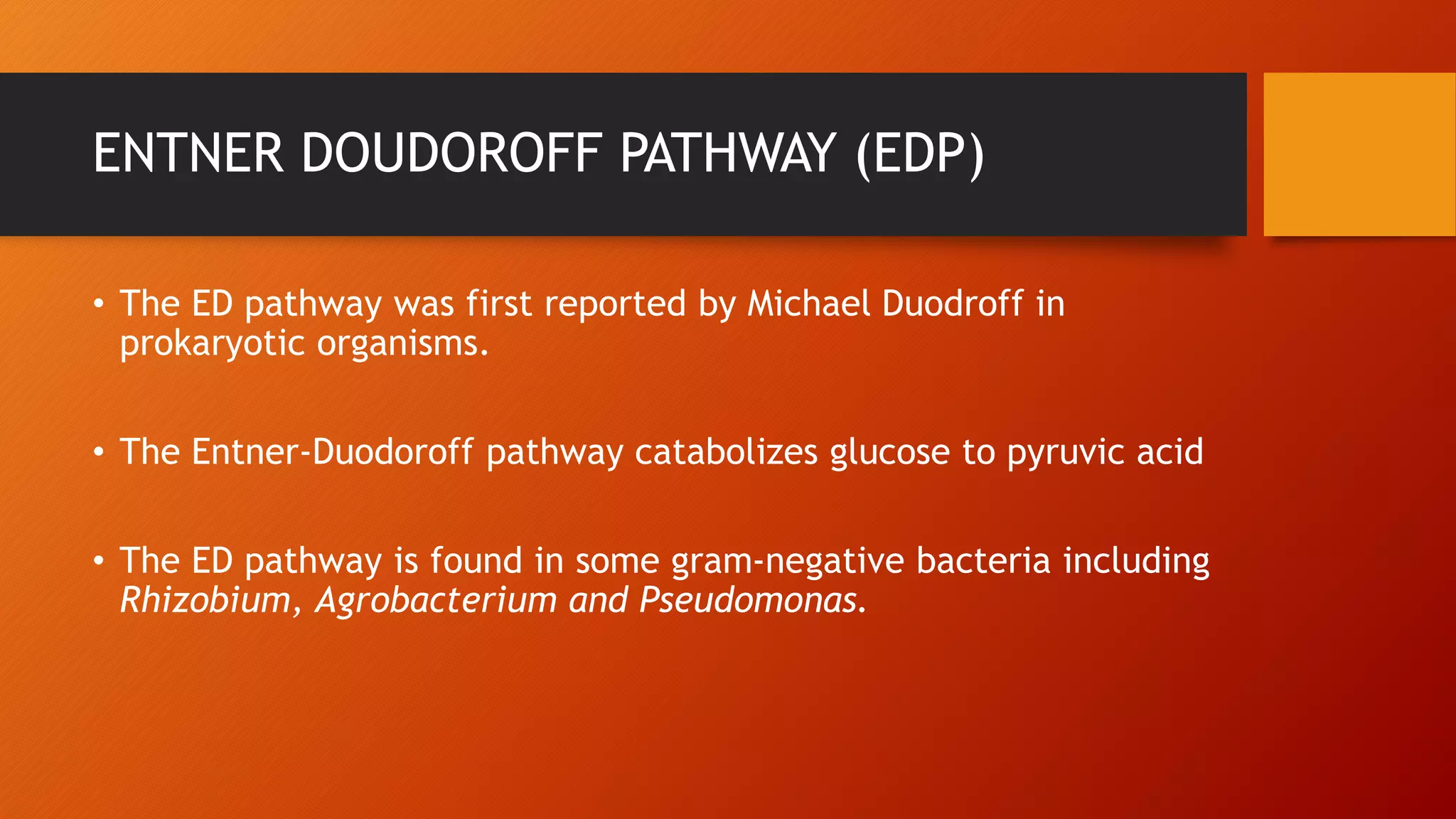 ED pathway.pptx