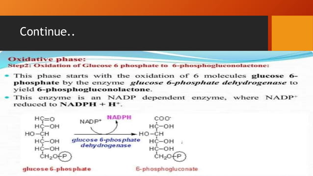 ED pathway.pptx