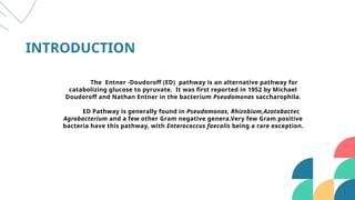 ED PATHWAY - introduction, Steps involved in ED pathway | PPTX