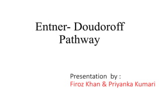 EDP pathway and comparision with PP pathway, EMpathway, Glycolysis | PPT